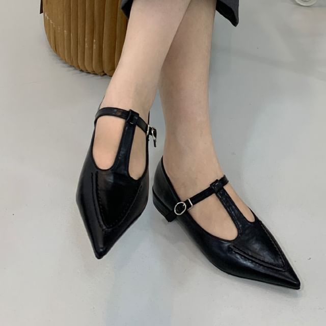 Chunky Heel Pointed Toe T-Strap Mary Jane Pumps – SpreePicky